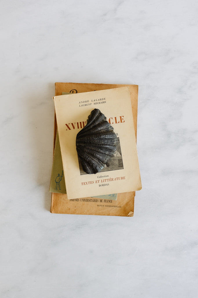 vintage French cast iron shell, from antique “bénitier” – Joliette